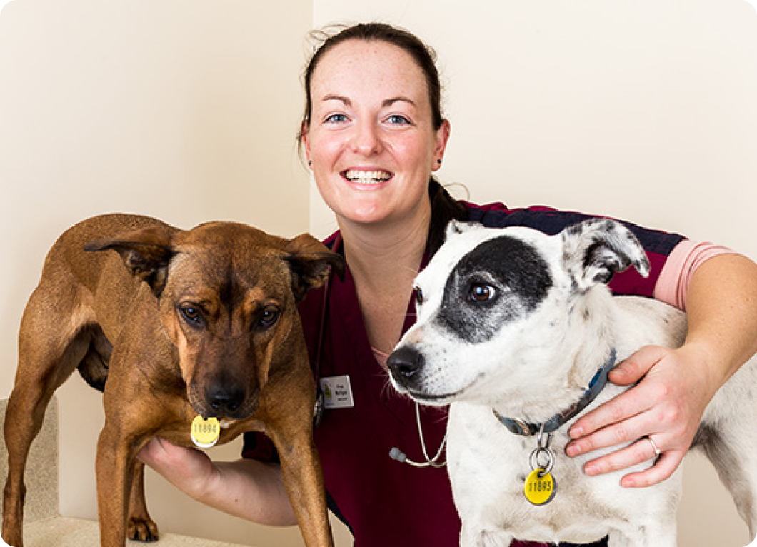 Meet the Team - Lindisfarne Veterinary Clinic